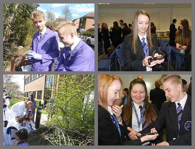 Christmas Fayre - Madeley Academy News